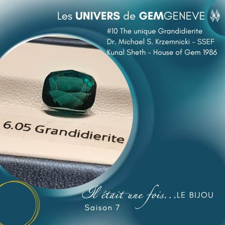 #10 The unique Grandidierite by Dr. Michael S. Krzemnicki - SSEF and ...
